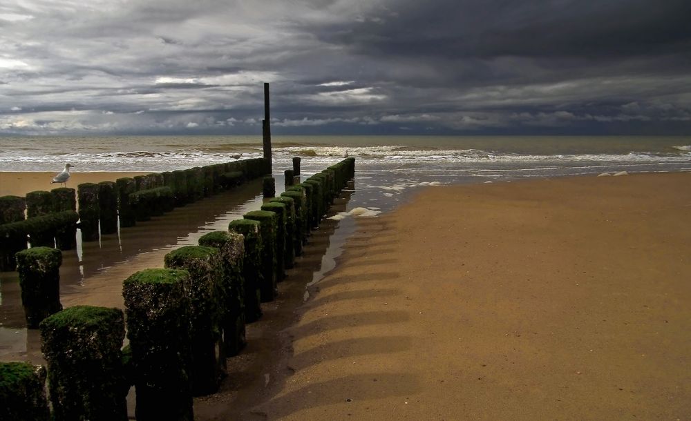 Ebbe Foto & Bild | europe, benelux, landschaft Bilder auf fotocommunity