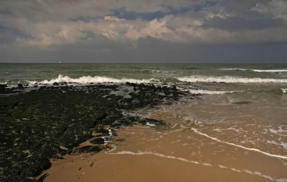 Ebbe (5) Foto & Bild | europe, benelux, landschaft Bilder auf fotocommunity