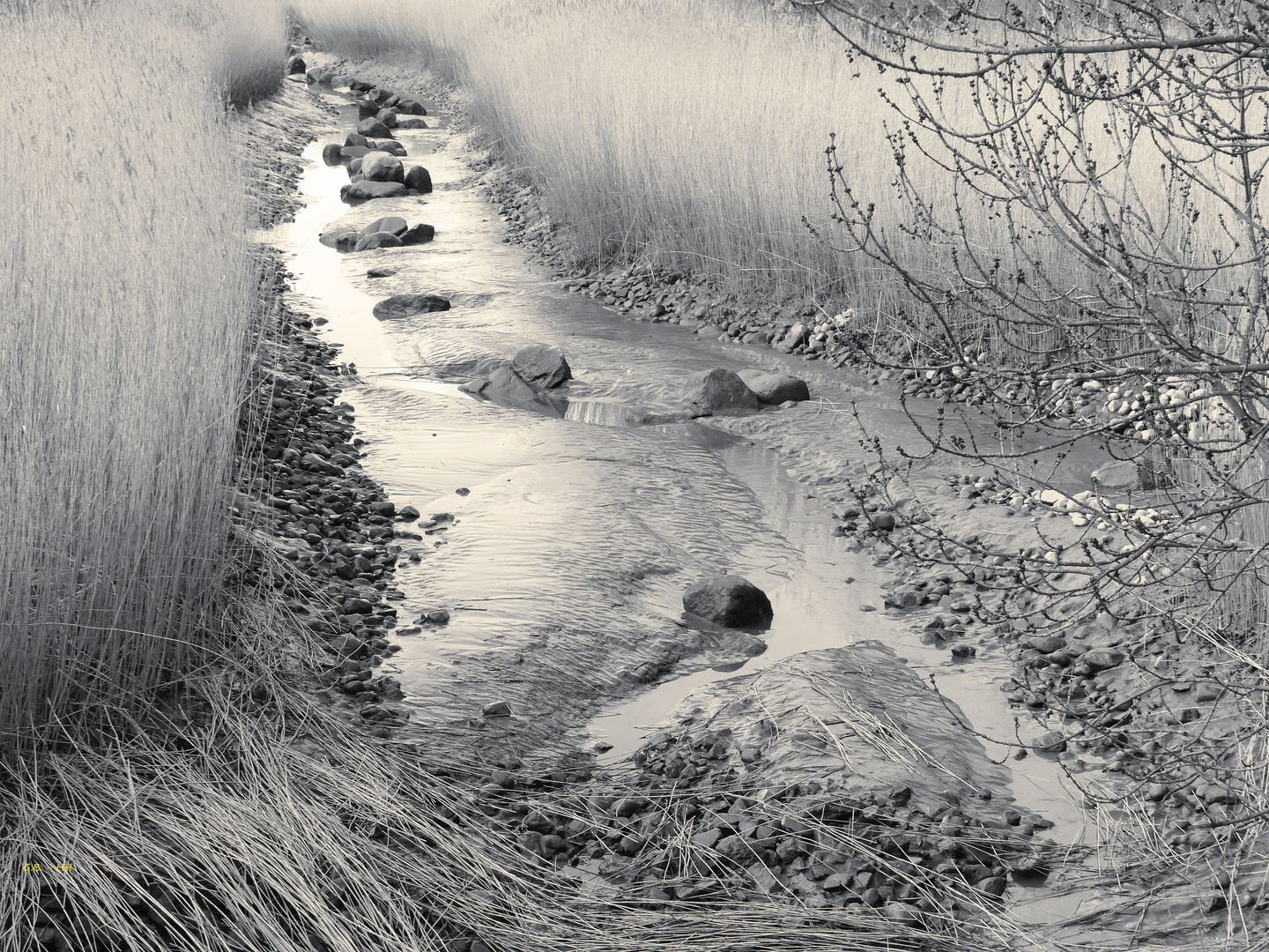 °Ebbe° Foto & Bild | reportage dokumentation, landschaft, meer & strand ...