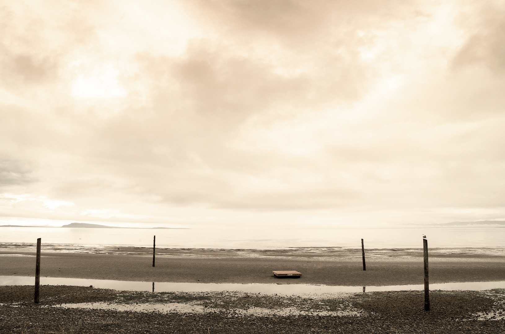 Ebbe Foto & Bild | landschaft, meer & strand, watt Bilder auf fotocommunity