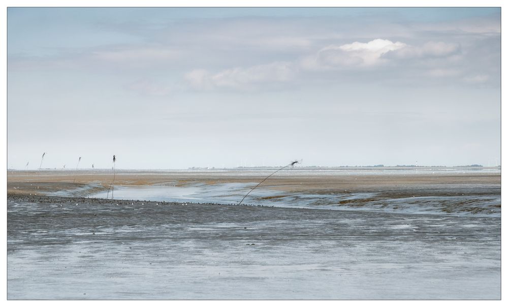 Ebbe II Foto & Bild | world, spezial, natur Bilder auf fotocommunity