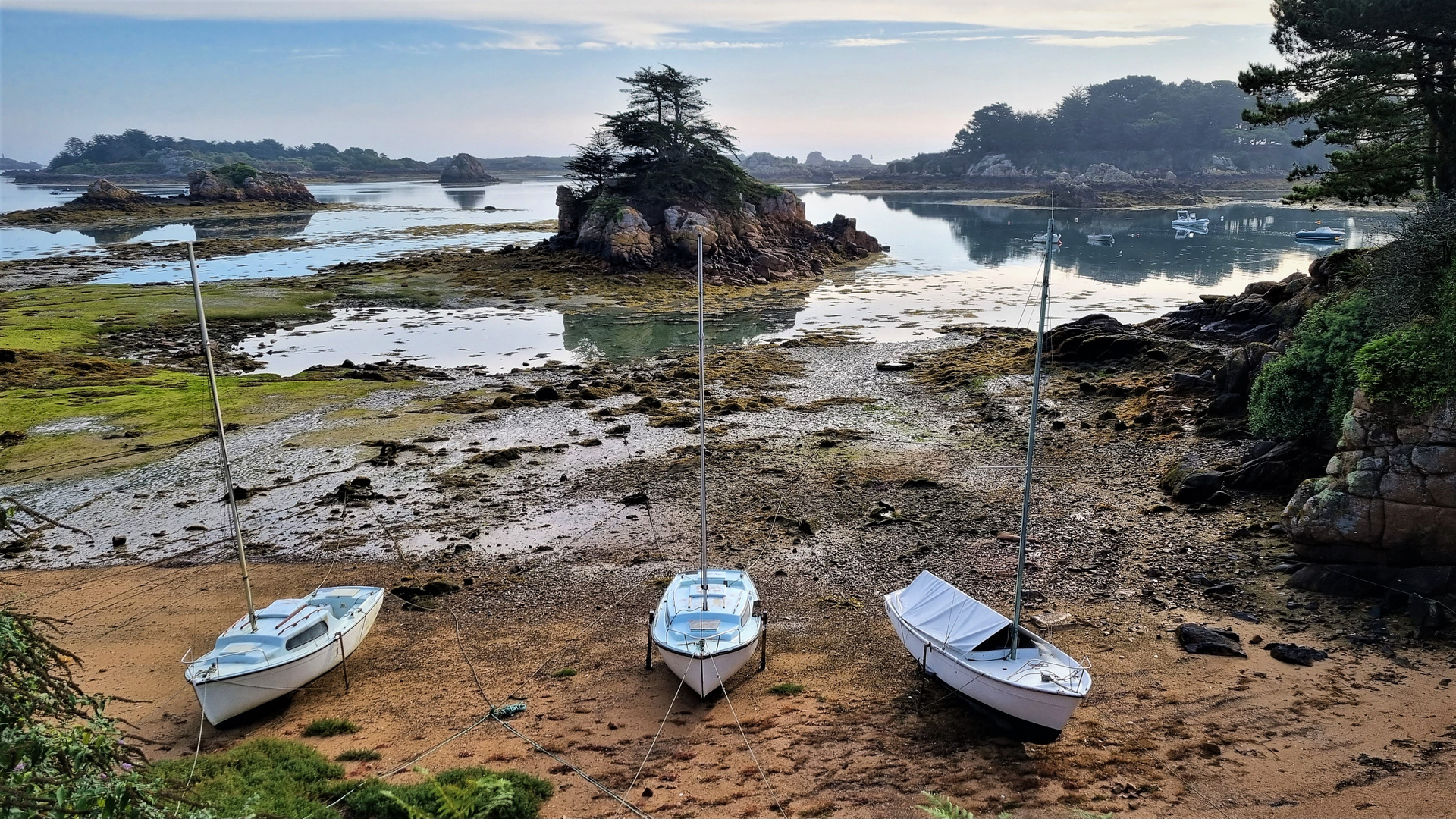 Ebbe und Flut Foto & Bild | spezial, outdoor, natur Bilder auf ...