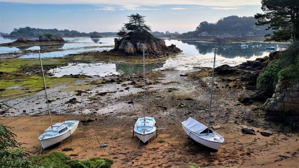 Ebbe und Flut Foto & Bild | spezial, outdoor, natur Bilder auf ...