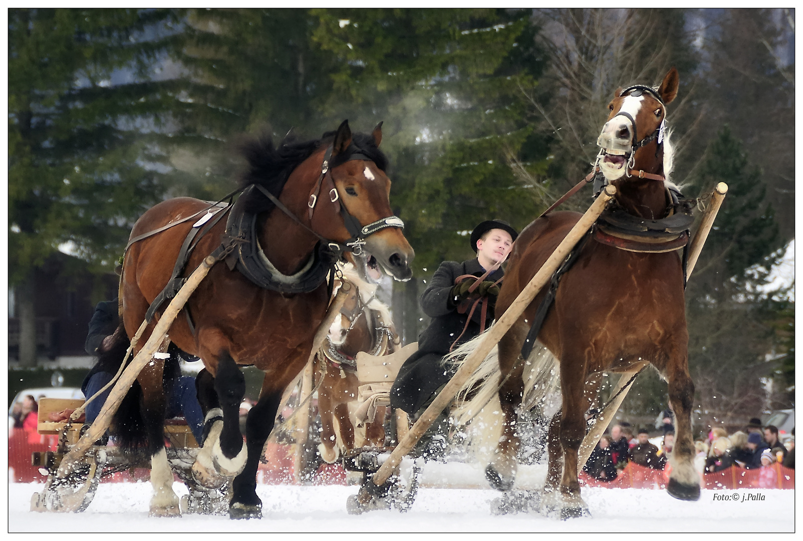 Echte PS [05 c] Foto & Bild | deutschland, europe, bayern Bilder auf ...