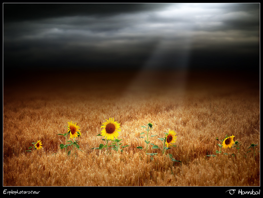 •Eclaircie• photo et image | paysages, paysages de campagne, nature ...