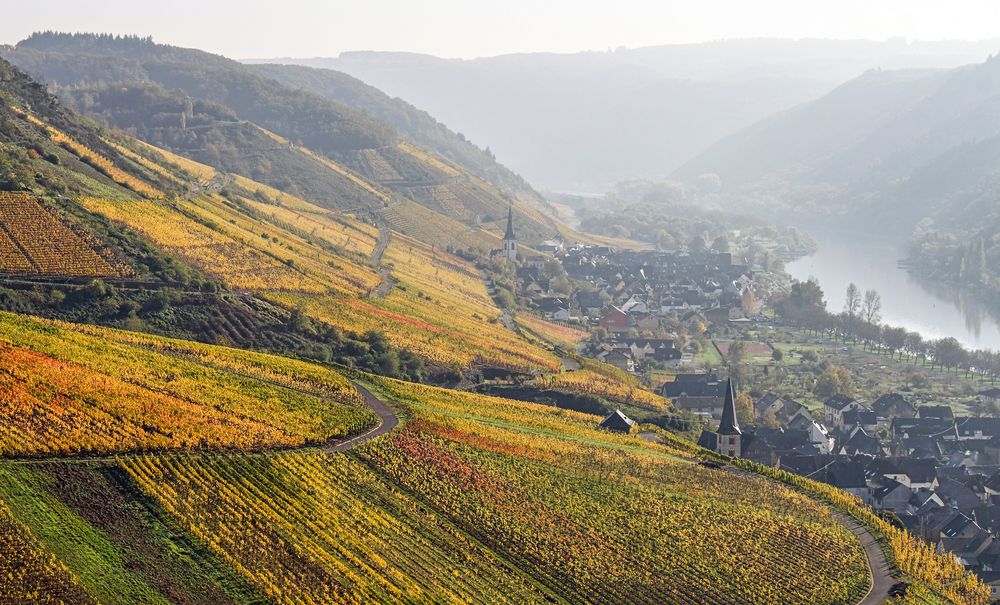 ~ Ediger-Eller ~ Foto & Bild | world, natur, herbst Bilder auf ...