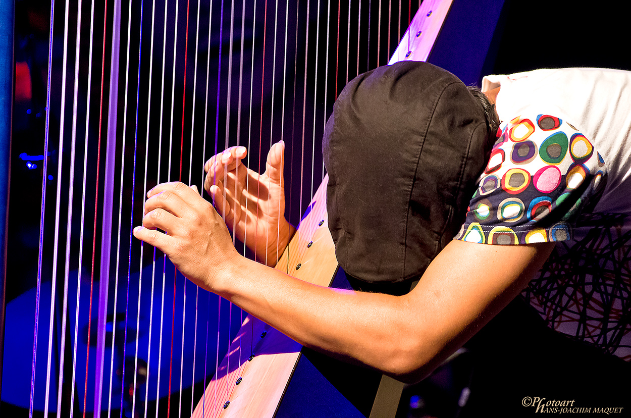 Edmar Castaneda Foto & Bild | kunstfotografie & kultur, musik & konzert ...