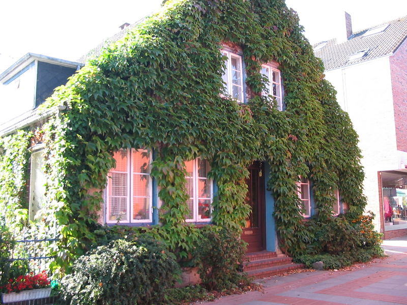 Efeu Haus Foto & Bild | architektur, motive Bilder auf fotocommunity