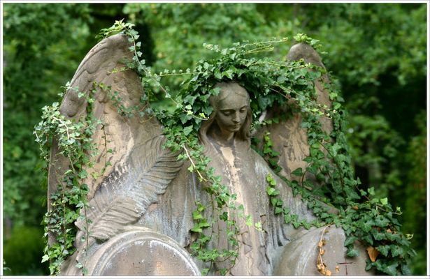 Uwe Mewes - Fotos & Bilder - Fotograf aus Lautern, Deutschland ...