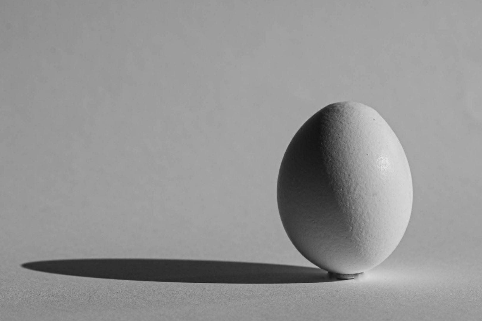 Ei Foto & Bild | natur Bilder auf fotocommunity