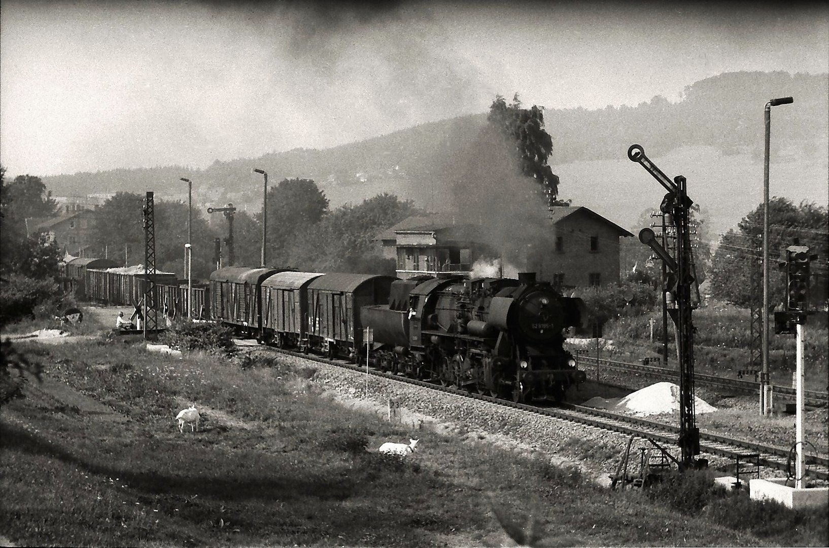 Eibau Foto & Bild | historische eisenbahnen, dr (ddr) 1949 - 1993 ...