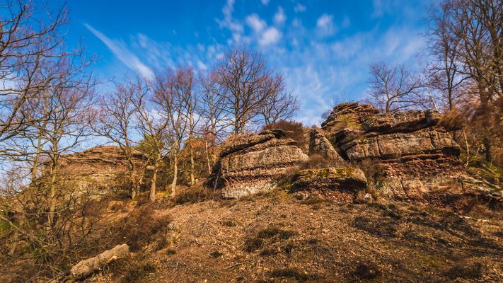 Nationalpark Eifel Bilder & Fotos