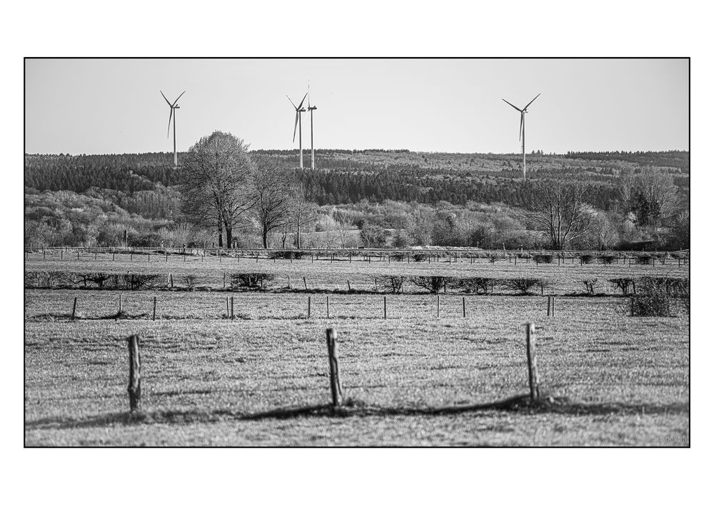 Eifelaufwärtz220416 Foto & Bild | landschaft, monochrom, bearbeitungs - techniken Bilder auf ...