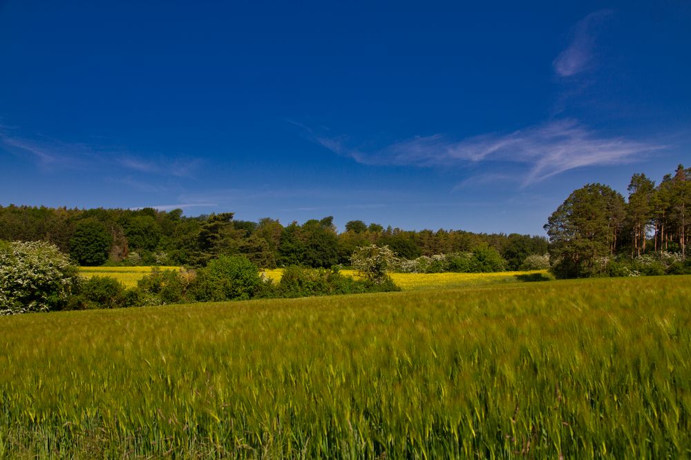 Eifellandschaft III Foto & Bild | landschaft, Äcker, felder & wiesen, natur Bilder auf fotocommunity