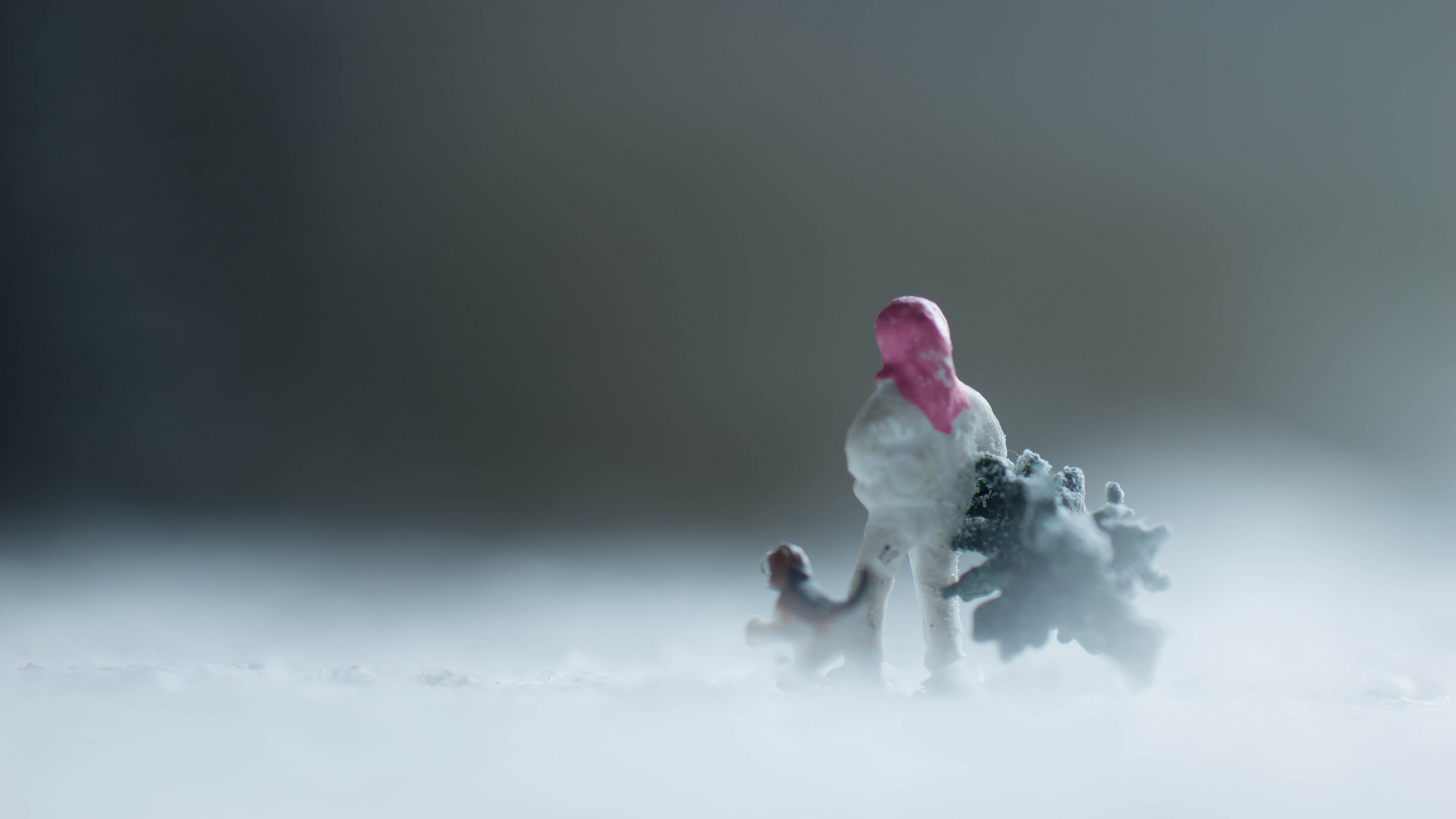 Eigeninitiative Foto & Bild | stillleben, kunstfotografie & kultur, gratulation und feiertage ...