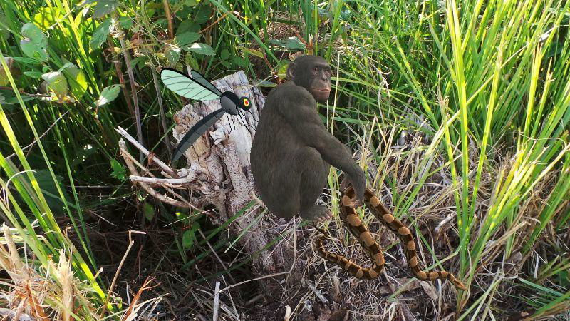 Ein Affe spielt mit der Schlange (Archiv-Bild) Foto & Bild | spezial ...