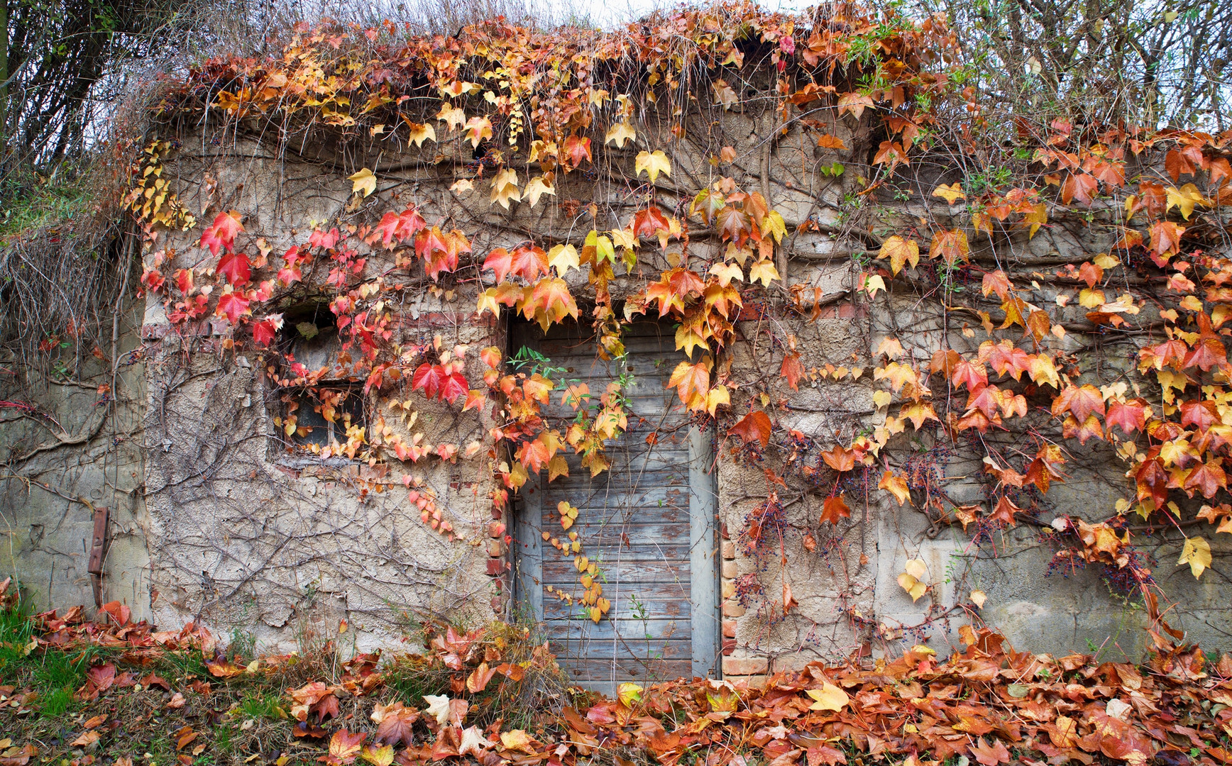 Ein alter Keller... Foto & Bild | architektur, ländliche architektur ...