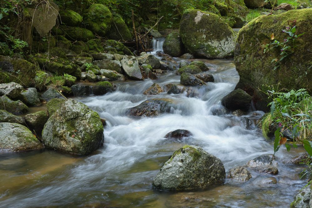 Ein Bach.. Foto & Bild | europe, Österreich, landschaft Bilder auf ...