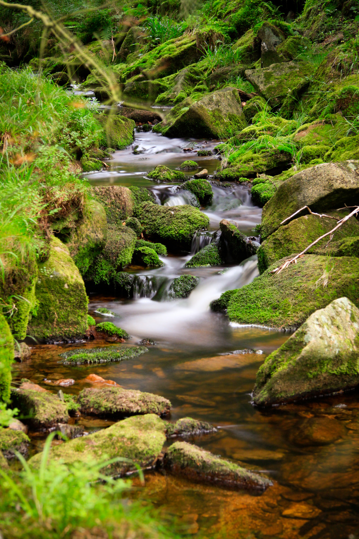 ein Bach im Harz Foto & Bild | fluss, bach, harz Bilder auf fotocommunity