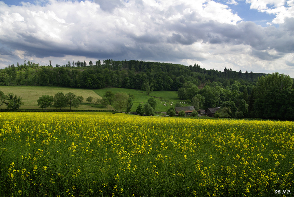 ein Bauer stand im Sauerland und dachte drüber nach..... Foto & Bild ...