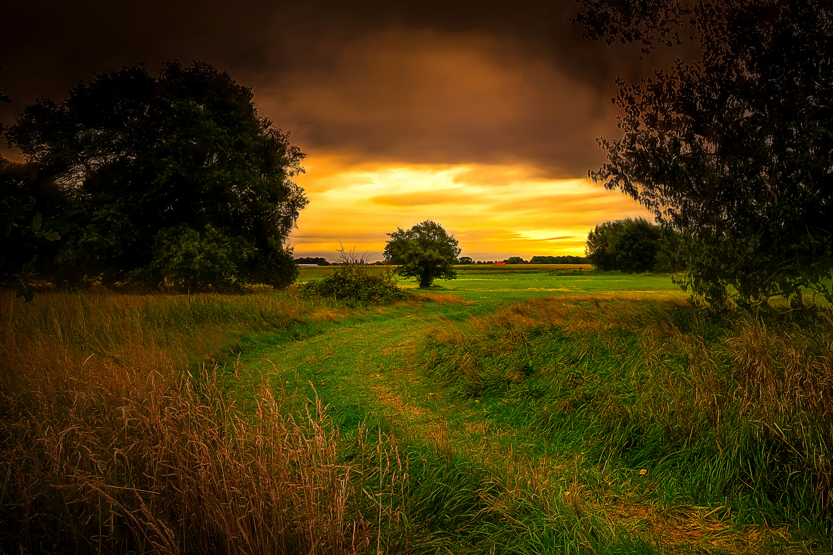 Ein Baum Foto & Bild | baum, wiese, natur Bilder auf fotocommunity