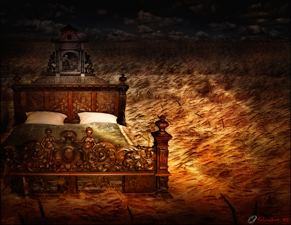 Ein Bett im Kornfeld Foto & Bild | fotomontage, composing , digiart Bilder auf fotocommunity