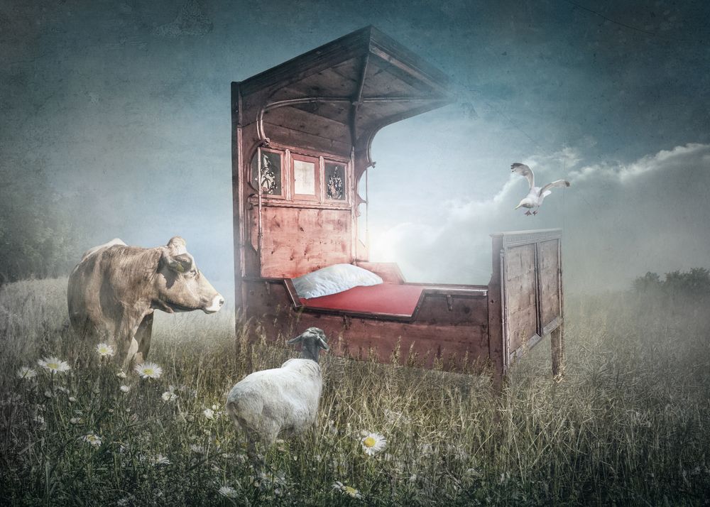 Ein Bett im Kornfeld... Foto & Bild | fotomontage, composing , surreal Bilder auf fotocommunity