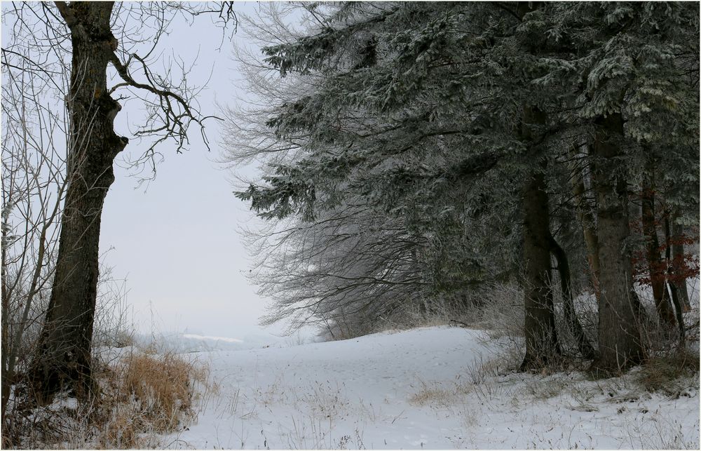 Ein bisschen Winter... Foto & Bild | winter, schnee, natur Bilder auf ...