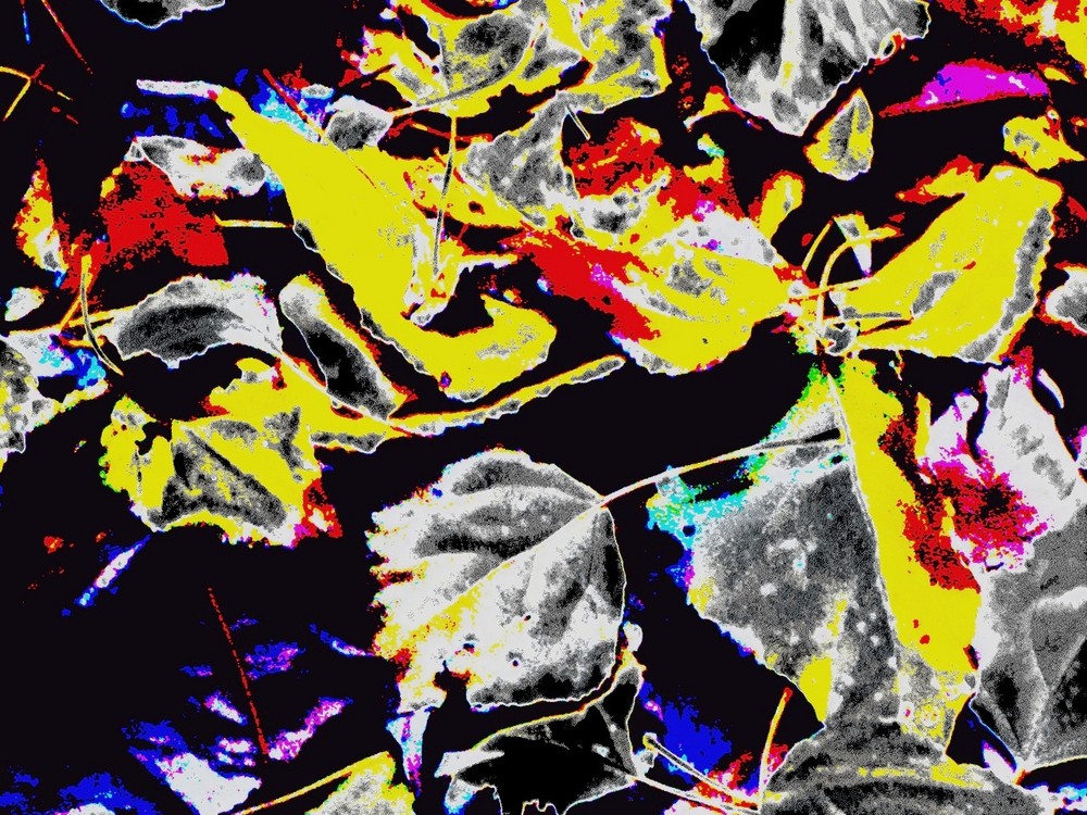 ein blätterwerk Foto & Bild | bearbeitungs - techniken, filtertechniken, digiart Bilder auf ...