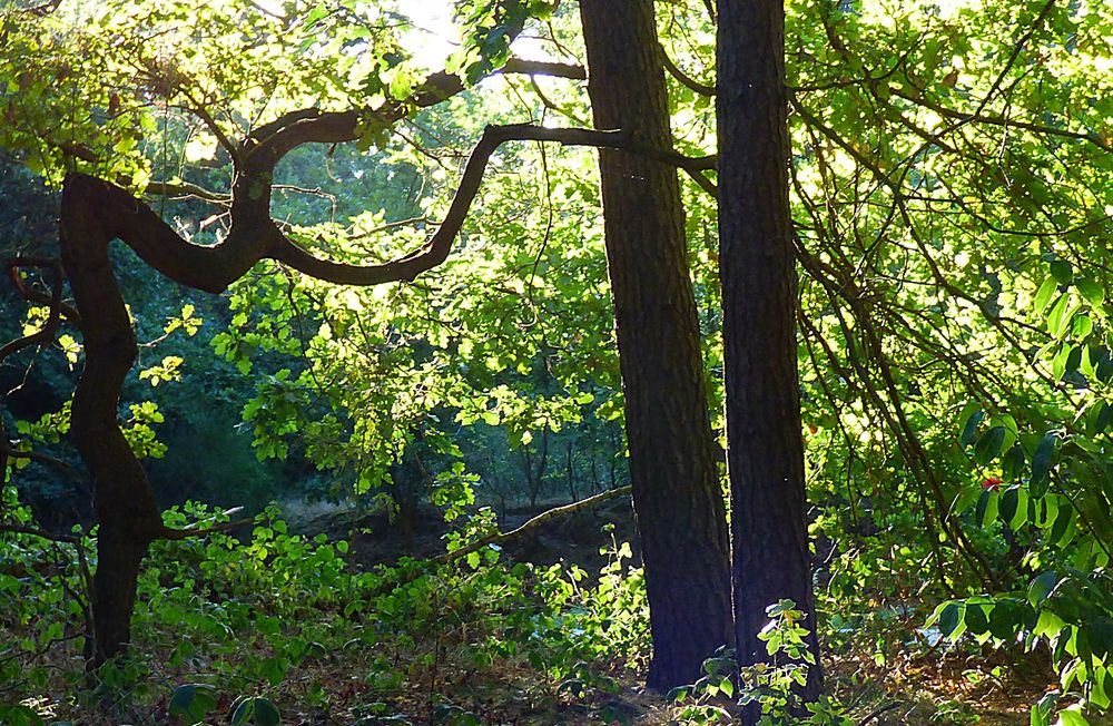 Ein Blick . . . Foto & Bild | projekte, donnerstag mit durchblick, thementage Bilder auf ...