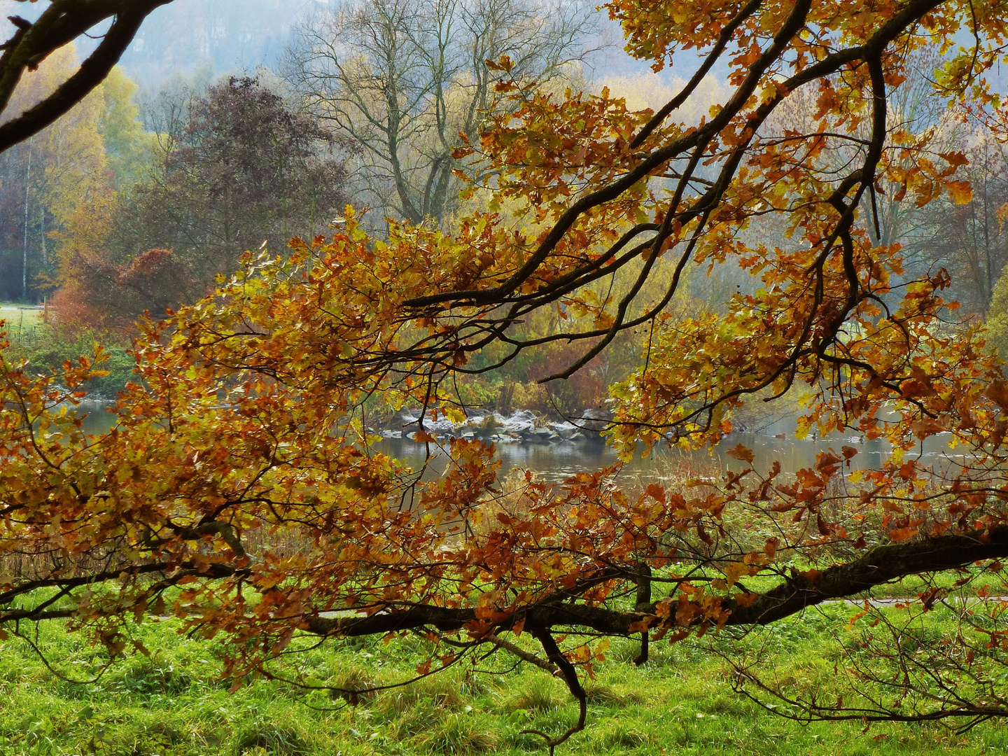 Ein Blick durch die Zweige Foto & Bild | jahreszeiten, herbst, natur ...