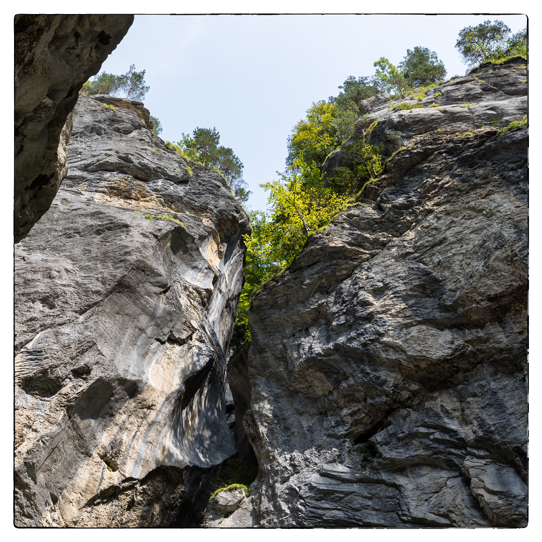 Ein Blick hinauf Foto & Bild | wasser, natur, landschaft Bilder auf ...