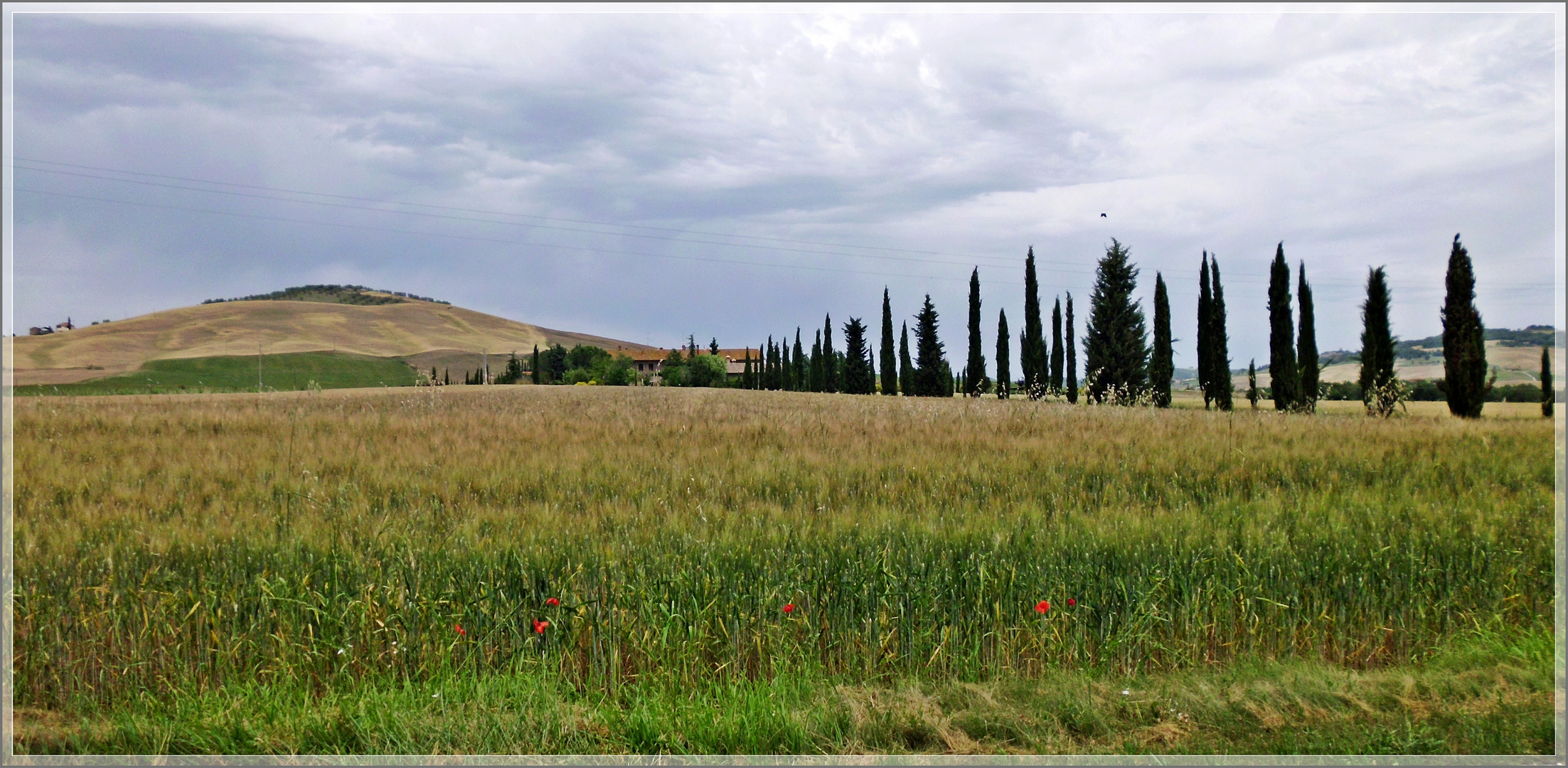 Ein Blick in die toskanische Landschaft Foto & Bild | italy, world, natur Bilder auf fotocommunity