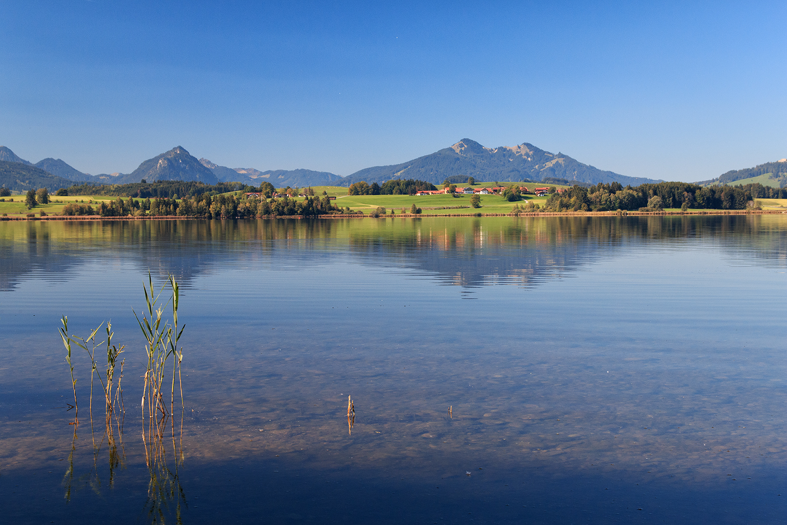 Ein Blick über den Hopfensee Foto & Bild | deutschland, europe, bayern ...