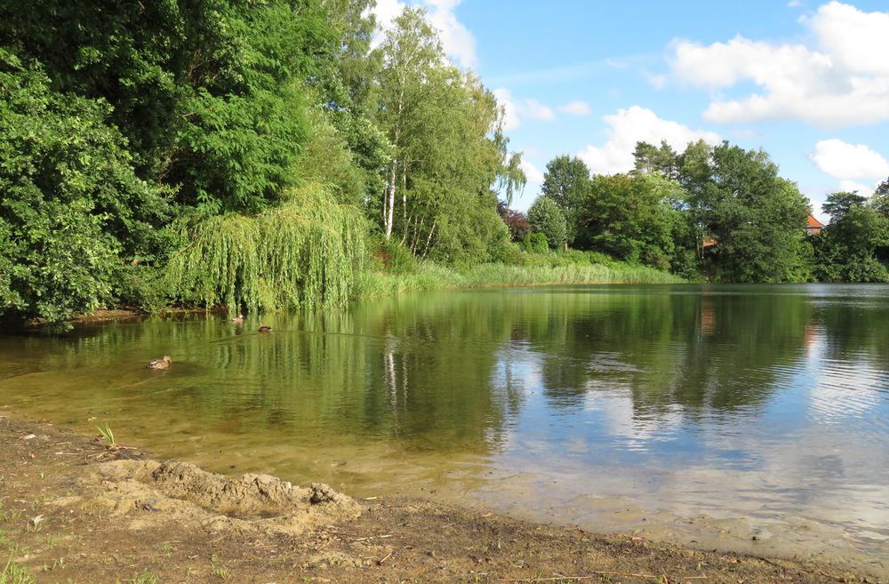 Ein Blick ber Den See Foto Bild Sommer Wasser Blau Bilder ein-blick-ber-den-see-foto-bild-sommer-wasser-blau-bilder