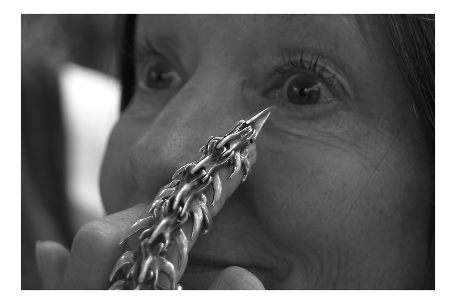 Ein Dorn im Auge.... - Bild & Foto von Petra Dindas aus 08/03: Redewendungen - Fotografie ...