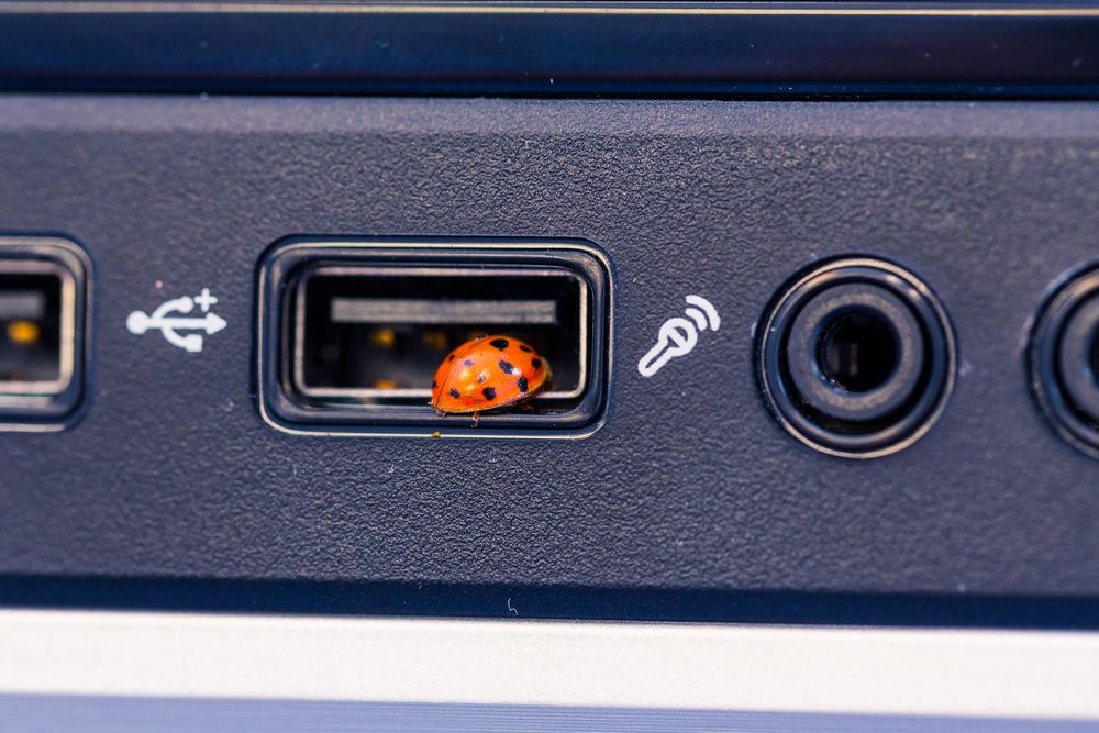 Ein echter USB-Bug Foto & Bild | tiere, wildlife, insekten Bilder auf ...