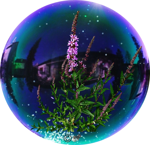 Ein Experiment mit einer Kugel Foto & Bild | spezial, outdoor, blau ...