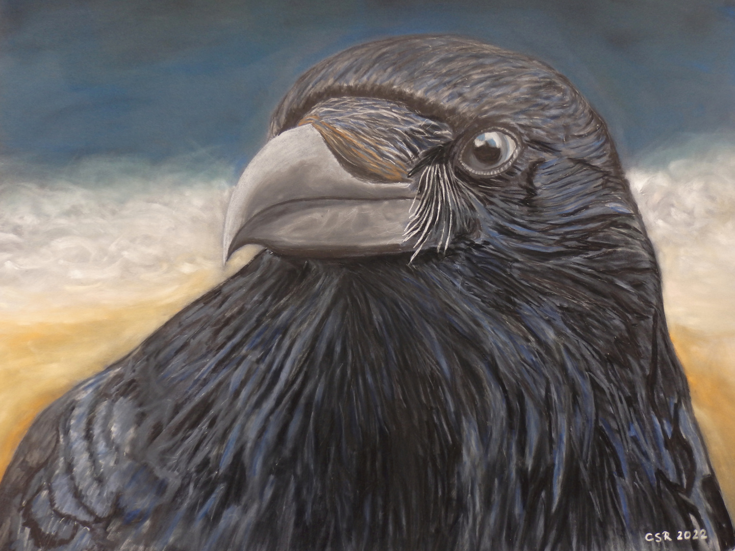 Ein fiktiver Rabe - mit Pastellkreidestiften gemalt Foto & Bild | rabe ...