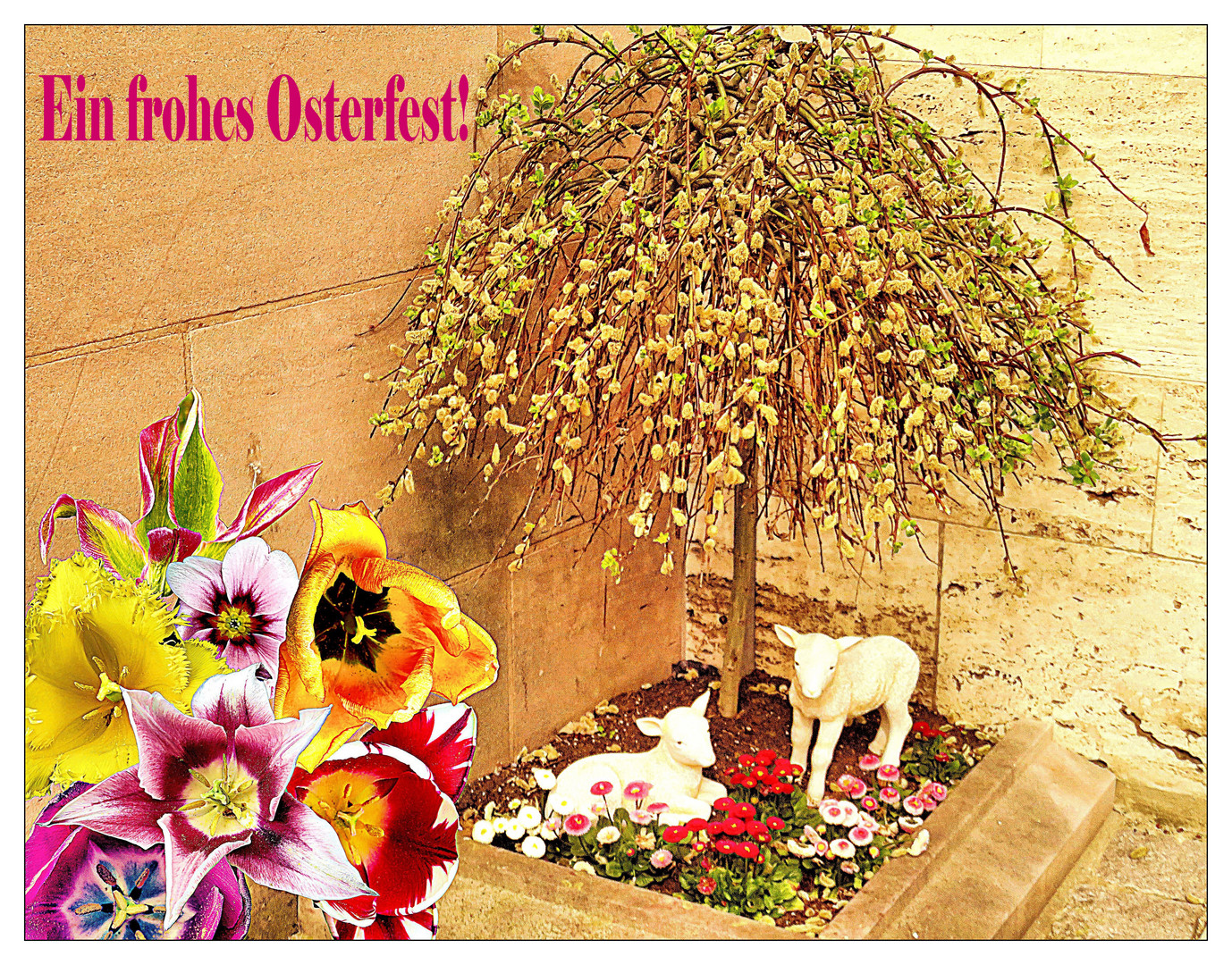 Ein frohes Osterfest Foto & Bild | tulpen, ostern, stillleben Bilder ...