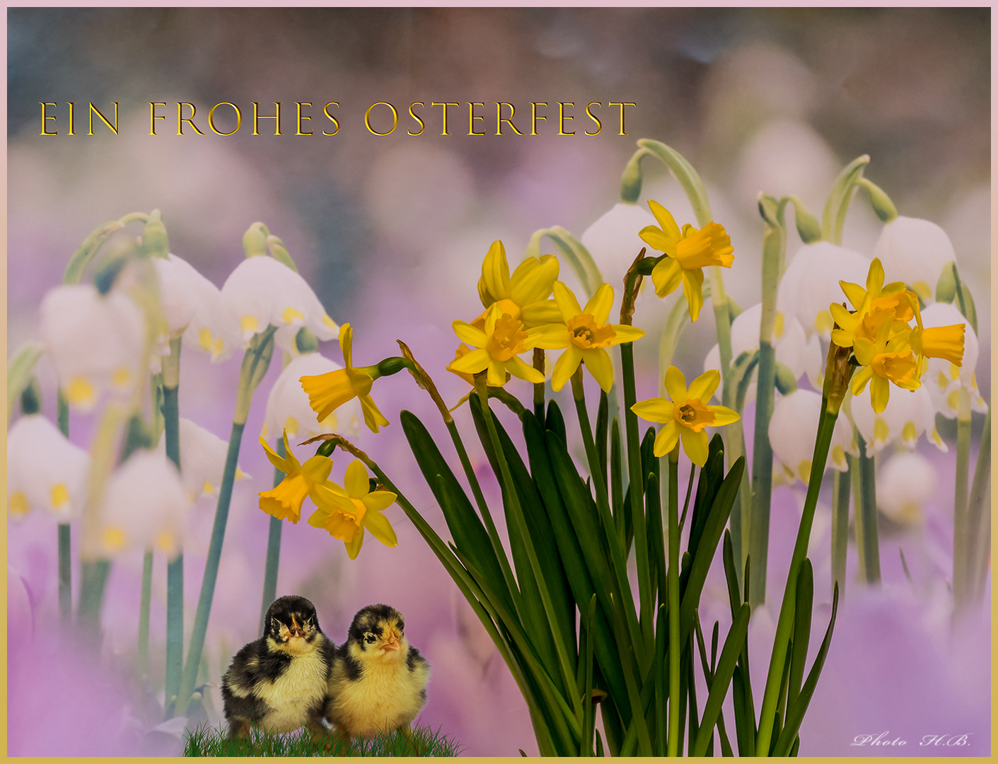 EIN FROHES OSTERFEST Foto & Bild | pflanzen, pilze & flechten, blüten ...