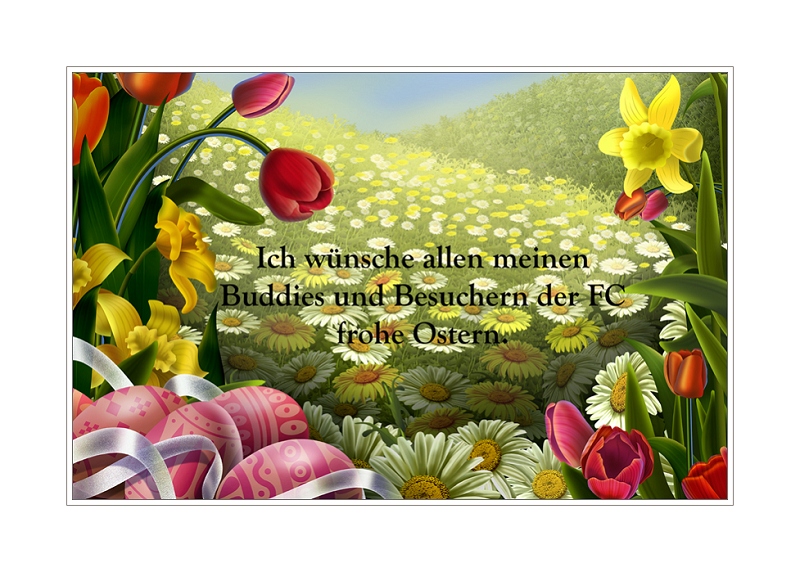 ein frohes Osterfest... Foto & Bild | karten und kalender, osterkarten ...