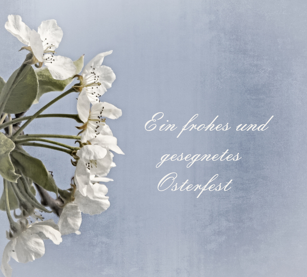 Ein frohes und gesegnetes Osterfest Foto & Bild | kunstfotografie ...