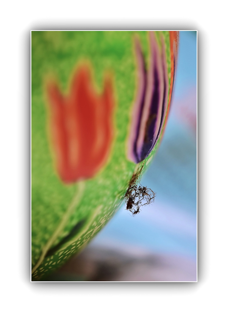 ein Fussel Foto & Bild | stillleben, projekte, fotokunst Bilder auf ...