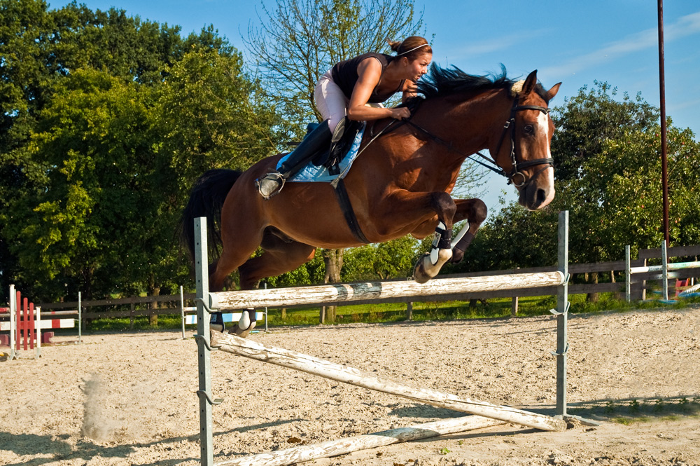 ein gelungener Sprung für Reiterin und Pferd Foto & Bild | sport, sport ...