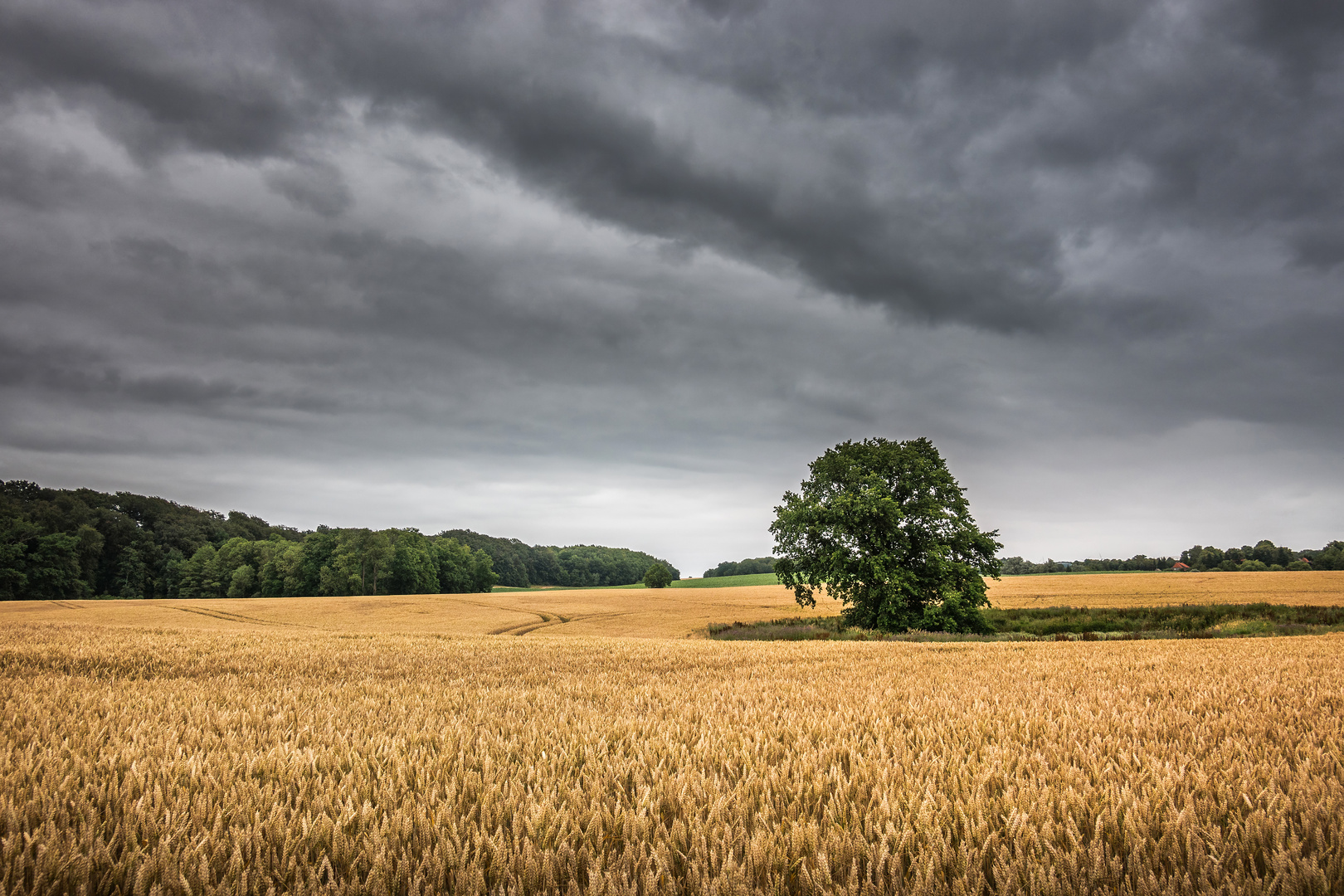 ein grauer Tag Foto & Bild | landschaft, himmel, Äcker, felder & wiesen ...