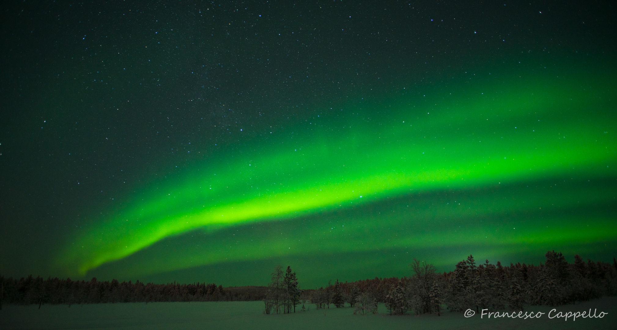 ein grüner Schweif Foto & Bild | world, winter, himmel Bilder auf ...