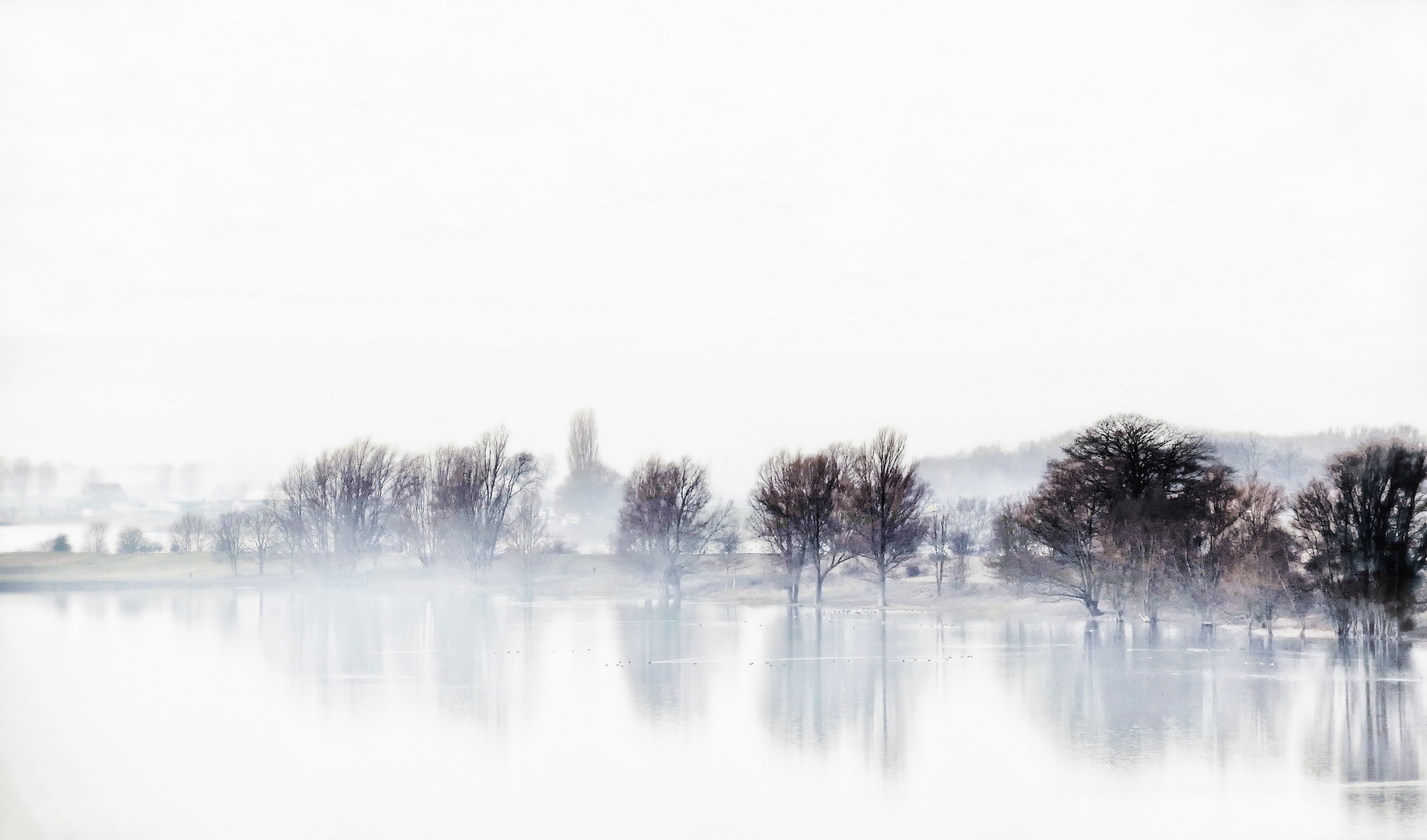 Ein Hauch Foto & Bild | world, spezial, bäume Bilder auf fotocommunity