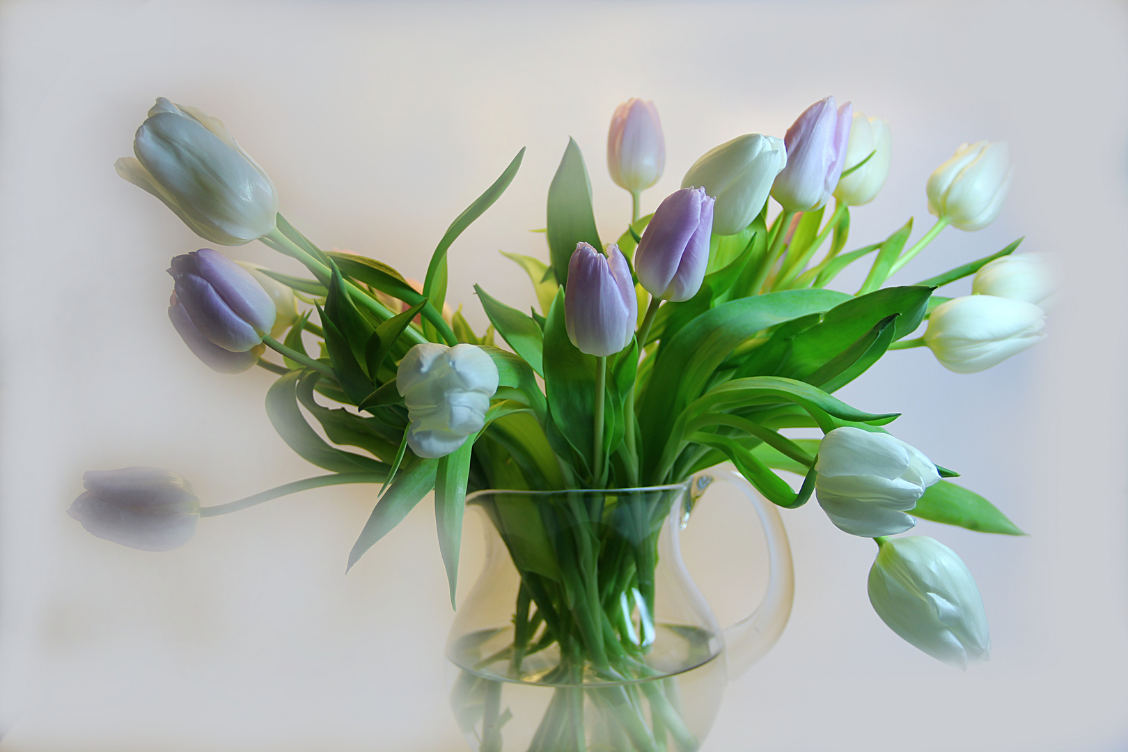 Ein Hauch.. Foto & Bild | natur-tabletop, natur-kreativ ...