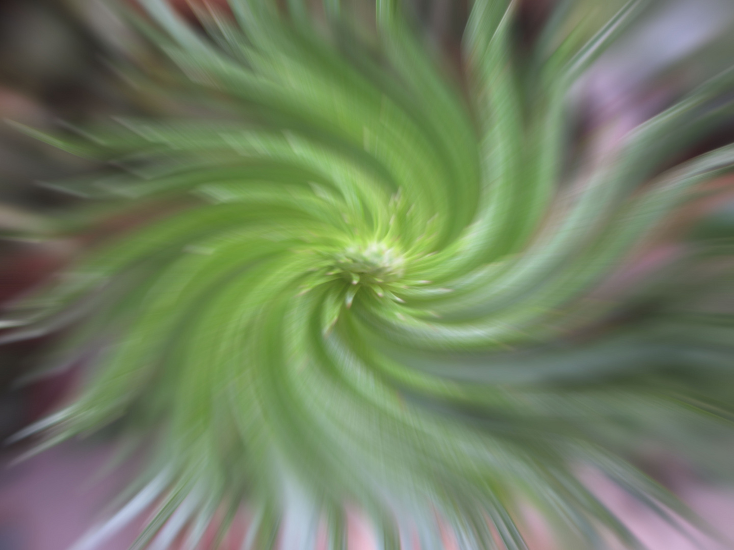 Ein Hauch in Grün Foto & Bild | abstraktes, modern - abstrakt ...